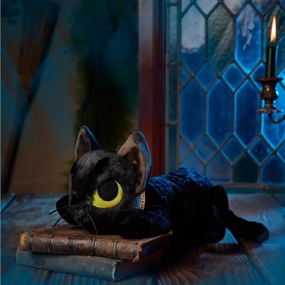 Disney | Toys | Disney Parks Hocus Pocus Thackery Binx Cat Plush | Poshmark